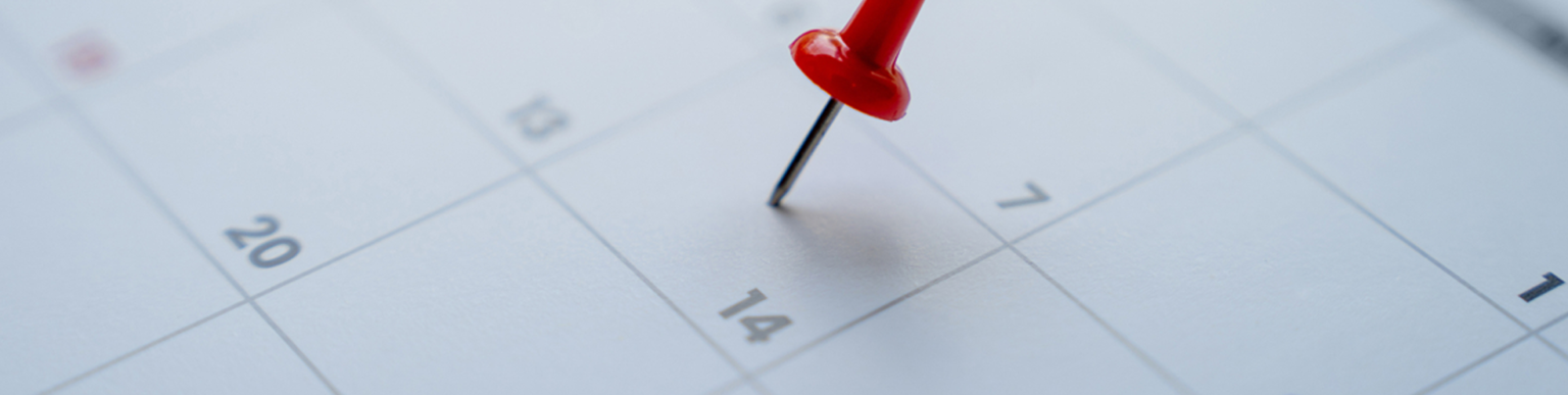 Deployment schedule - Quinn Vietnam Manpower